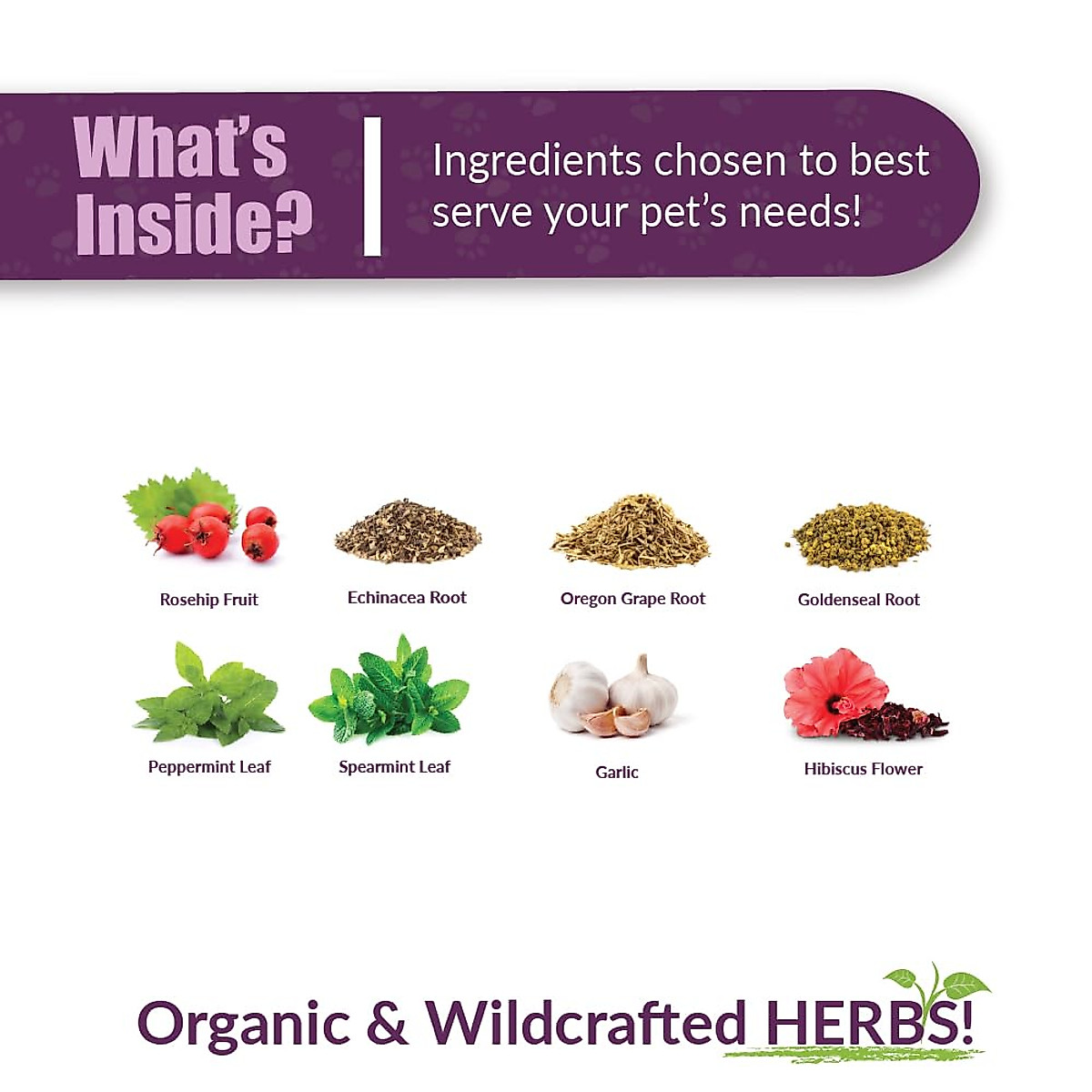 Amber NaturalZ ProTummy Stomach Comfort Herbal Blend for Dogs, Bird, Guinea Pigs, and Rabbits | Herbal Supplement for Occasional Upset Stomach | 1 Fluid Ounce Glass Bottle | Manufactured in The USA