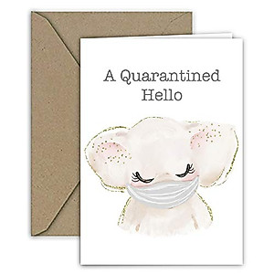 Paper Frenzy Masked Animals Quarantine Notes for Social Distancing Greeting Cards - 5 Different Designs (5 Cards per Design - 25 Total Cards)