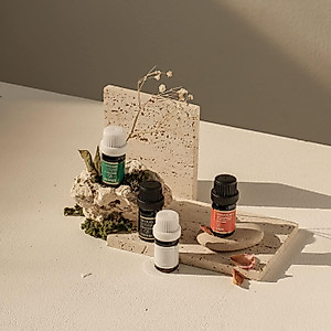 Dionel Secret Love Black Edition inner perfume fragrance oil for underwear women Long-lasting feminine romantic floral scent 5ml 0.17fl.oz