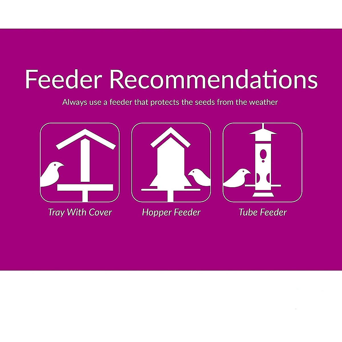 Desert Valley Sunflower Hearts and Chips Seed, All Natural, Non-GMO Premium Wild Bird and Wildlife Food (3 Pounds)