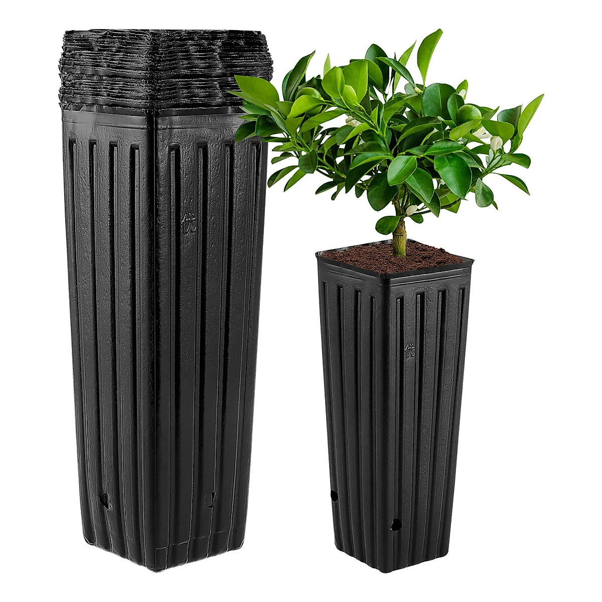 DOITOOL 50Pcs Plastic Nursery Bags for Plants, Tall Seedling Flower Plant Container Starting Pots, Flower Pot Container Bonsai Holder Succulent Planter with Drainage for Plant Growing (Black)