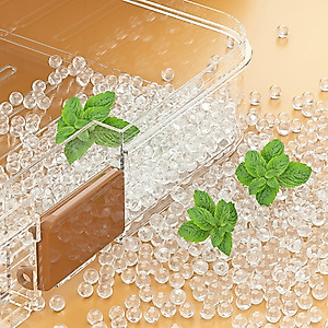 Dumpling Storage Box with Lids, Large Capacity Stackable Food Containers, Multi Layer Transparent Plastic Airtight Food Container Kitchen Supplies for Kitchen Fridge (2 Layers)