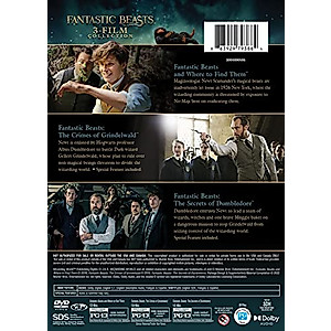 Fantastic Beasts 3-Film Collection (DVD)