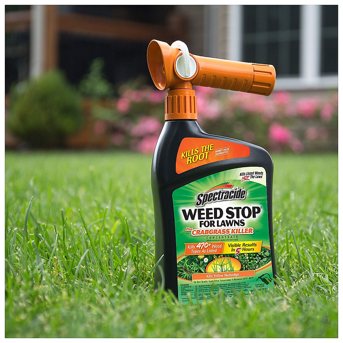 Spectracide Weed Stop For Lawns + Crabgrass Killer Concentrate, 32-oz, 6-PK, Clear