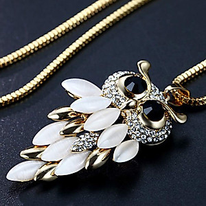 Ailiessy Dainty Crystal Owl Necklace Long Sweater Chain Rhinestone Owl Bird Necklace Pendant for Women(Black)