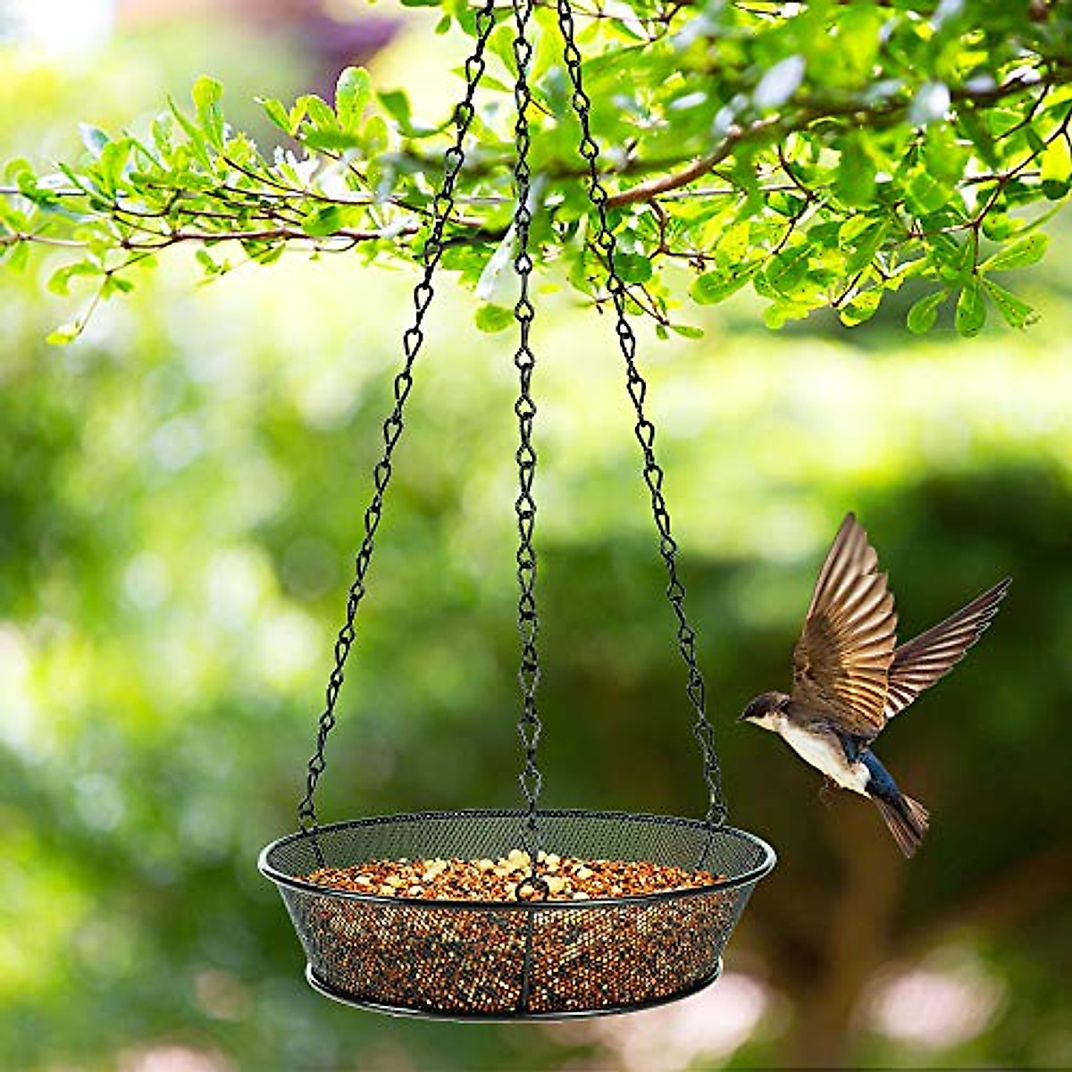 FORUP Platform Bird Feeder Hanging Tray, Metal Mesh Seed Tray for Outdoor Yard Garden Outside Backyard Decoration