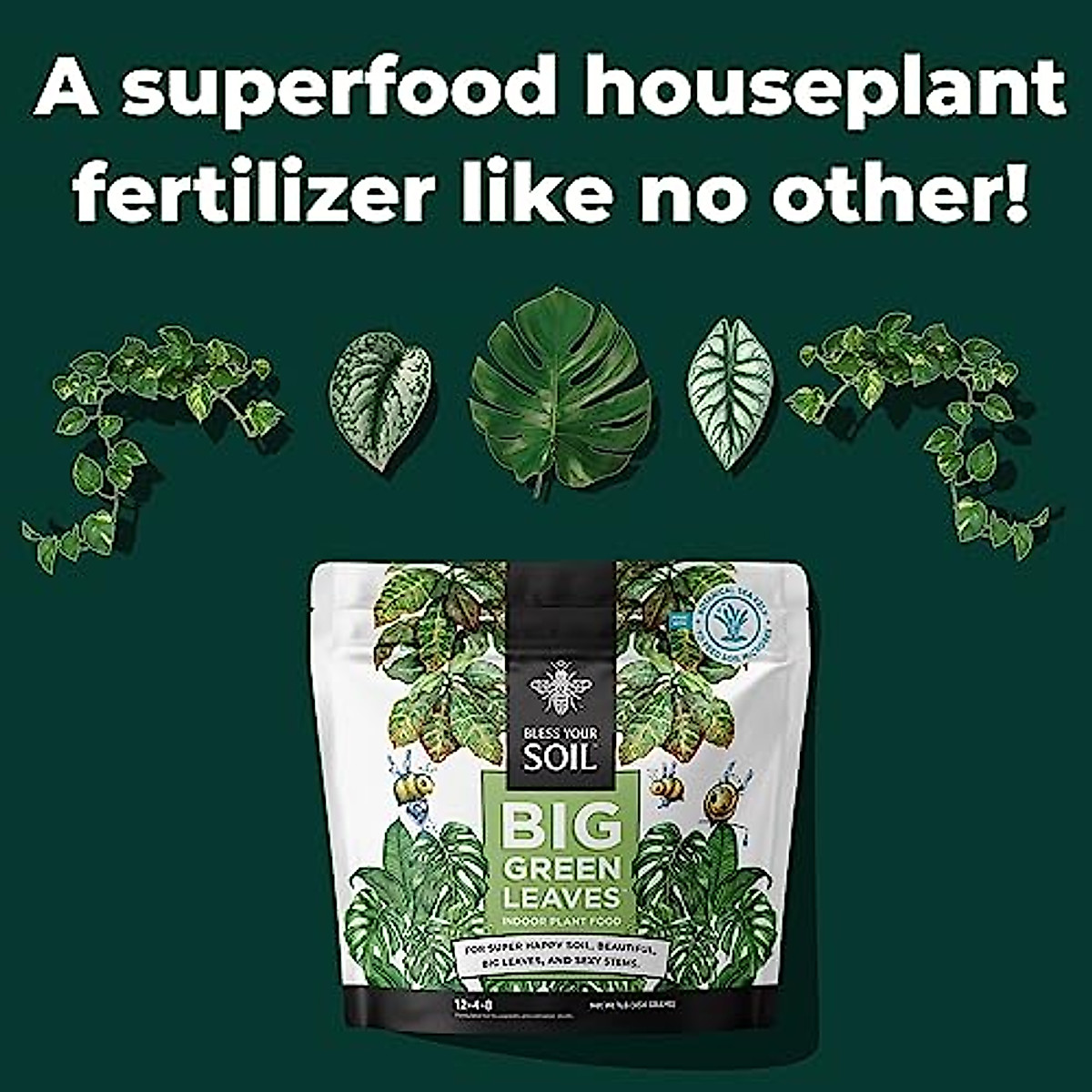 Big Green Leaves | Superfood Houseplant Fertilizer, Indoor Plants - All Purpose + Sea Kelp | 4X More Concentrated | 12-4-8 NPK (1LB)