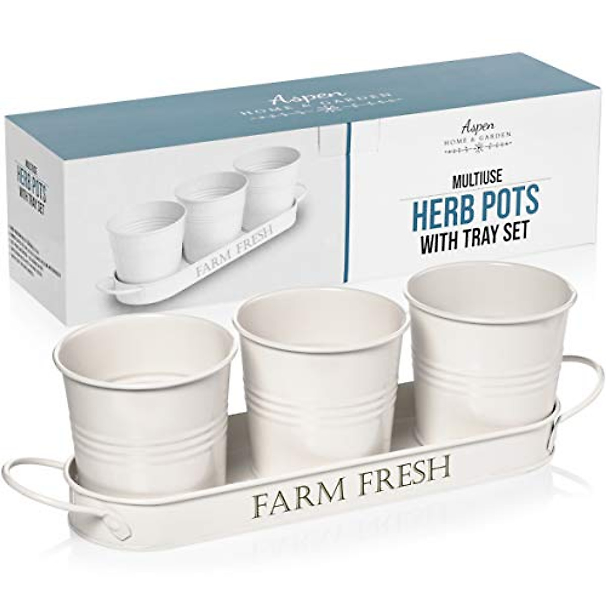 Herb Pots with Tray Set, Indoor Herb Planter, Farmhouse Inspired Decorative Herb Garden Planter with Drain Holes for Healthy Plants, Ideal for Indoor Windowsill