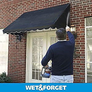 Wet & Forget 803064 Miss Muffet's Revenge Indoor and Outdoor Spider Killer with Attached Sprayer, 64 Fluid Ounces, Ready to Use