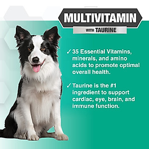Nootie Progility Multvitamin for Dogs, Multivitamin Supplement for Dogs with Taurine, 90 Soft Chews per Container