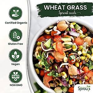 Nature Jims Sprouts Wheatgrass Seeds - 100% Organic Wheat Grass Seed for Sprouting - Cat Grass Planter Seeds, Rich in Vitamins, Fiber and Minerals - Non-GMO, Healthy Wheatgrass Sprout Growing Seed