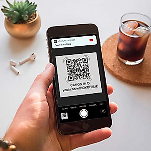 I Love You Like The Song - Customized Sound Wave Prints - Soundwave Art in Acrylic Frame Gift for 3rd Anniversary, Valentines Day and Birthday