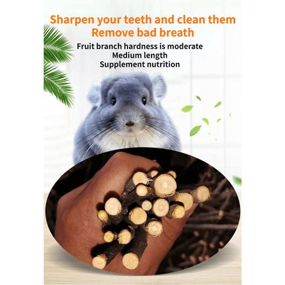 Barn Eleven 100g/0.22lb Natural Apple Sticks, Treats Food for Small Animals, Chew Toys for Chinchilla Guinea Pigs Rabbit Squirrel Hamster Bunny (100g/0.22lb)