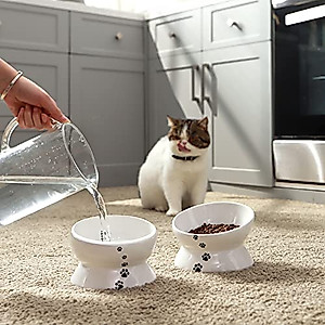 Y YHY Cat Food Bowls, Elevated Tilted for Food and Water, 2 Raised Cat Bowls Set with Tick Marks, for Flat-Faced Cats and Small Dogs - 12/16 OZ Ceramic