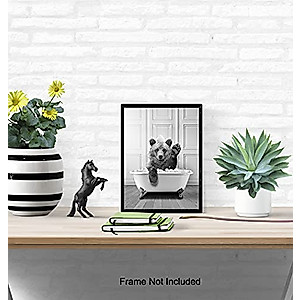 Bear Wall Decor - Bear Wall Art - Funny Bathroom Decor for Women, Kids - Bathroom Pictures - Bath Wall Decor - Cute Modern Bathroom Accessories - Cool Unique Bathroom Sign- Powder Room - Restroom Sign