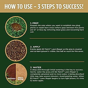 EZ Seed Patch For St. Augustine Grass, 3.75-Lb., Covers 85 Sq. Ft.