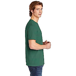 Comfort Colors by Chouinard Adult Ring-Spun Tee (Light Green) (XL)