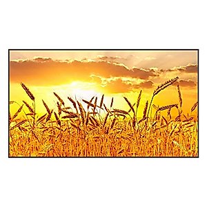 KUVASONG True 1500 Nits 43 Inch Sun Readable Smart Outdoor TV for Outdoor Covered Area, High Brightness Outdoor Television, 4K UHD HDR, Includes Full Motion TV Wall Mount Bracket and 40W Sound bar
