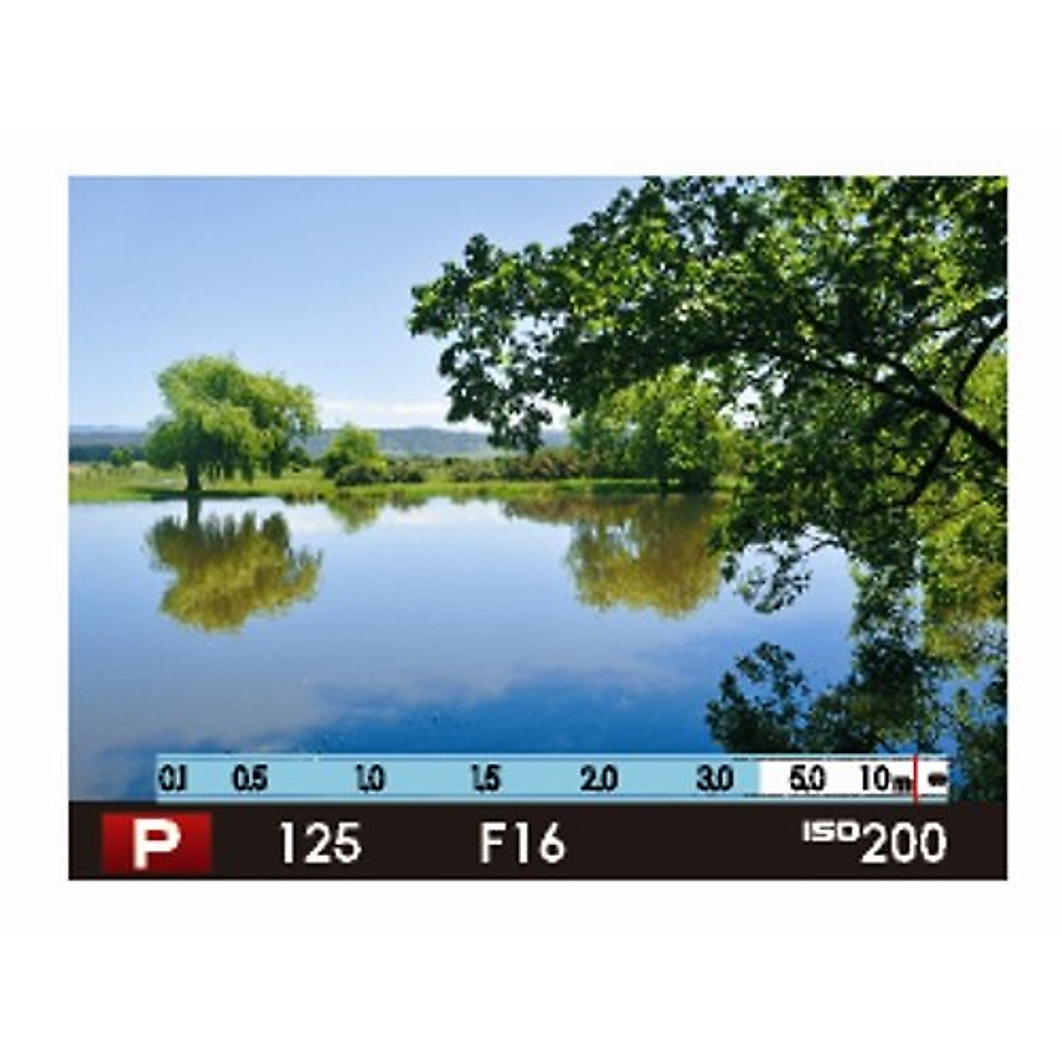 FUJIFILM FinePix X100 APS-C CMOS EXR Digital Camera with 23mm Fujinon Lens and 2.8-Inch LCD - International Version (No Warranty)