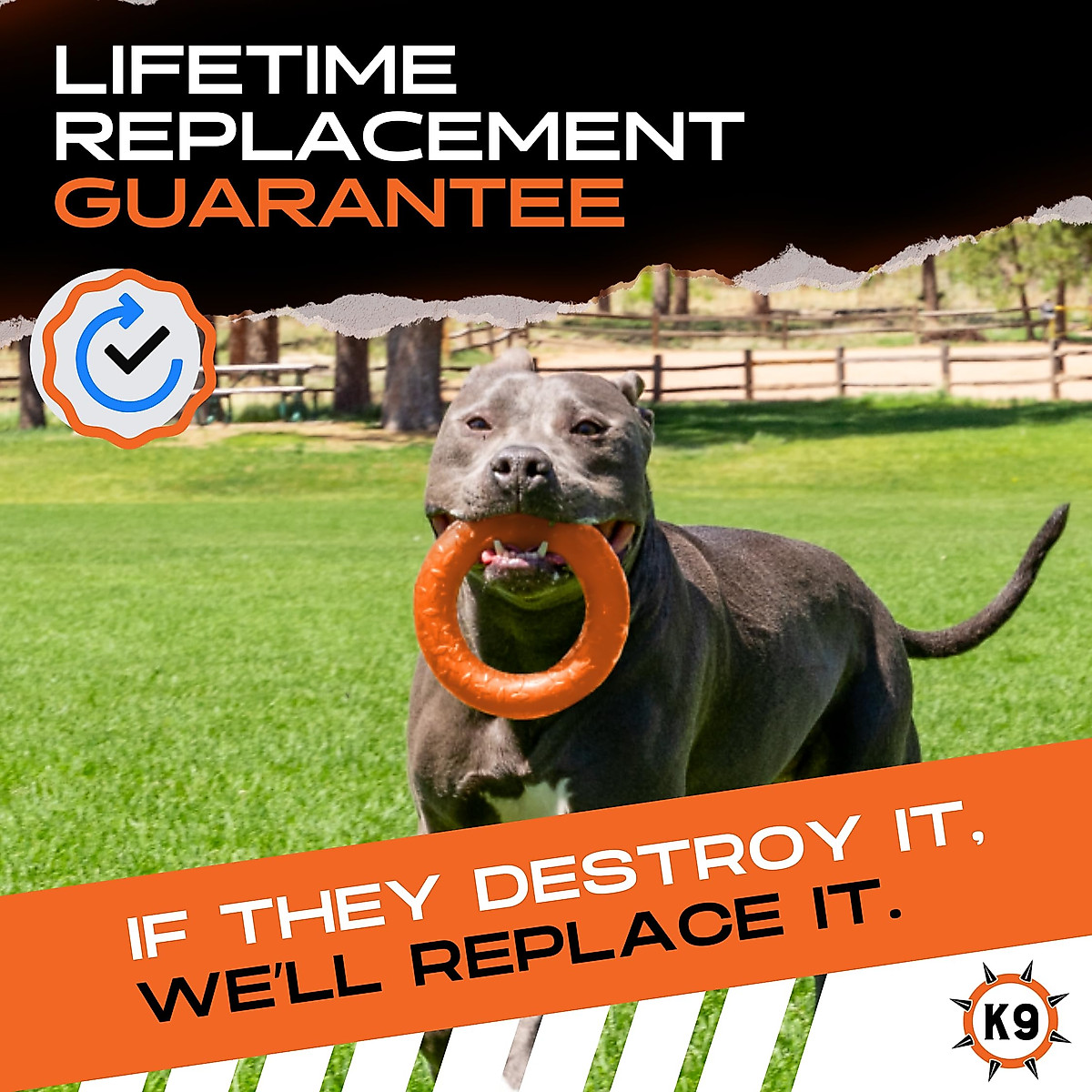 Monster K9 Indestructible Chew Ring - Lifetime Replacement - Ultra Durable Dog Toy for Aggressive Chewers - Chew, Tug, & Fetch - Best Tough Dog Toy for Medium & Large Breeds - Made in USA - 6.5in