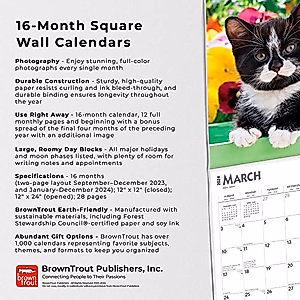 Tuxedo Cats | 2024 12 x 24 Inch Monthly Square Wall Calendar | BrownTrout | Animals Kittens Feline