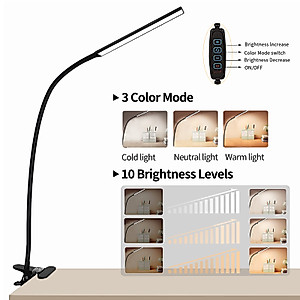 ECHEAIO Clip on Light LED Desk Lamp with Clamp Eye-Caring Dimmable Reading Light for Headboard,3 Modes 10 Brightness, Flexible Gooseneck Book Light Memory Function Desk Lamps for Home Office