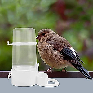 POPETPOP 2pcs Automatic Bird Feeder Water Dispenser Bottle Drinker Container Waterer for Farm Parrots Budgie Cockatiel Lovebirds 16X14CM