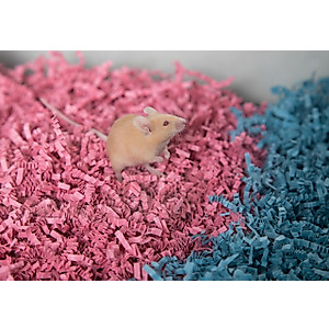 ECO BEDDING 99% Dust Free Paper Bedding for Small Pets and Birds, Pink, 30 L