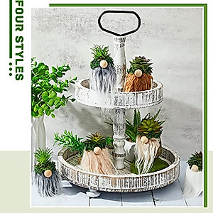 4 Pcs Gnomes Succulent Planter Swedish Gnome Plush Tiered Tray Decoration Summer Cute Gnome Gift for Women Farmhouse Cactus Desk Home Decor Green Garden Family Cacti Dwarf Shelf
