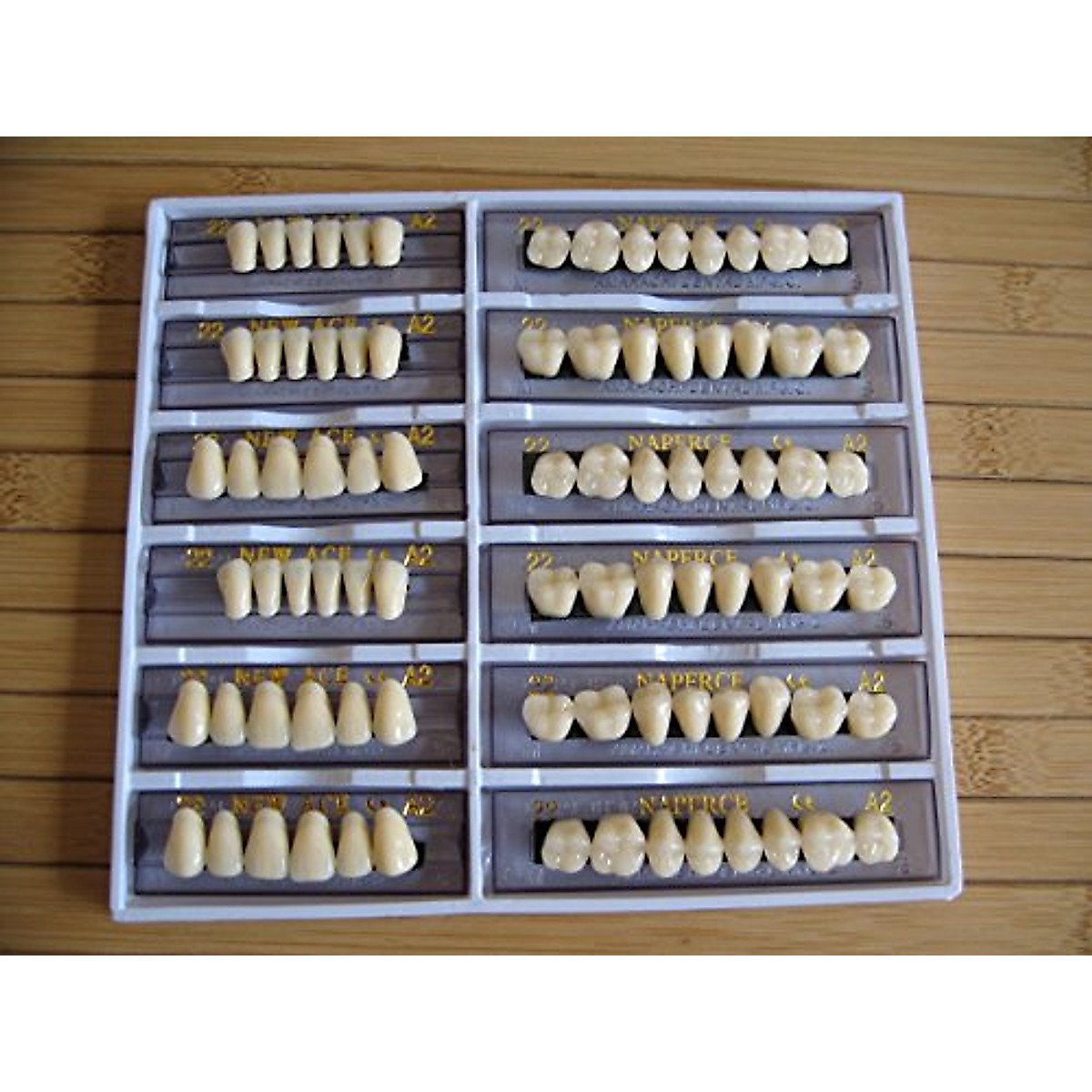 24 Plate 28X1 A1 Denture Shanghai ACRYLIC RESIN Teeth Dental Size 22