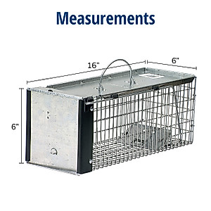 Havahart 0745 Extra Small 1-Door Humane Catch and Release Live Animal Trap for Squirrels, Chipmunks, Rats, Weasels, and Small Animals