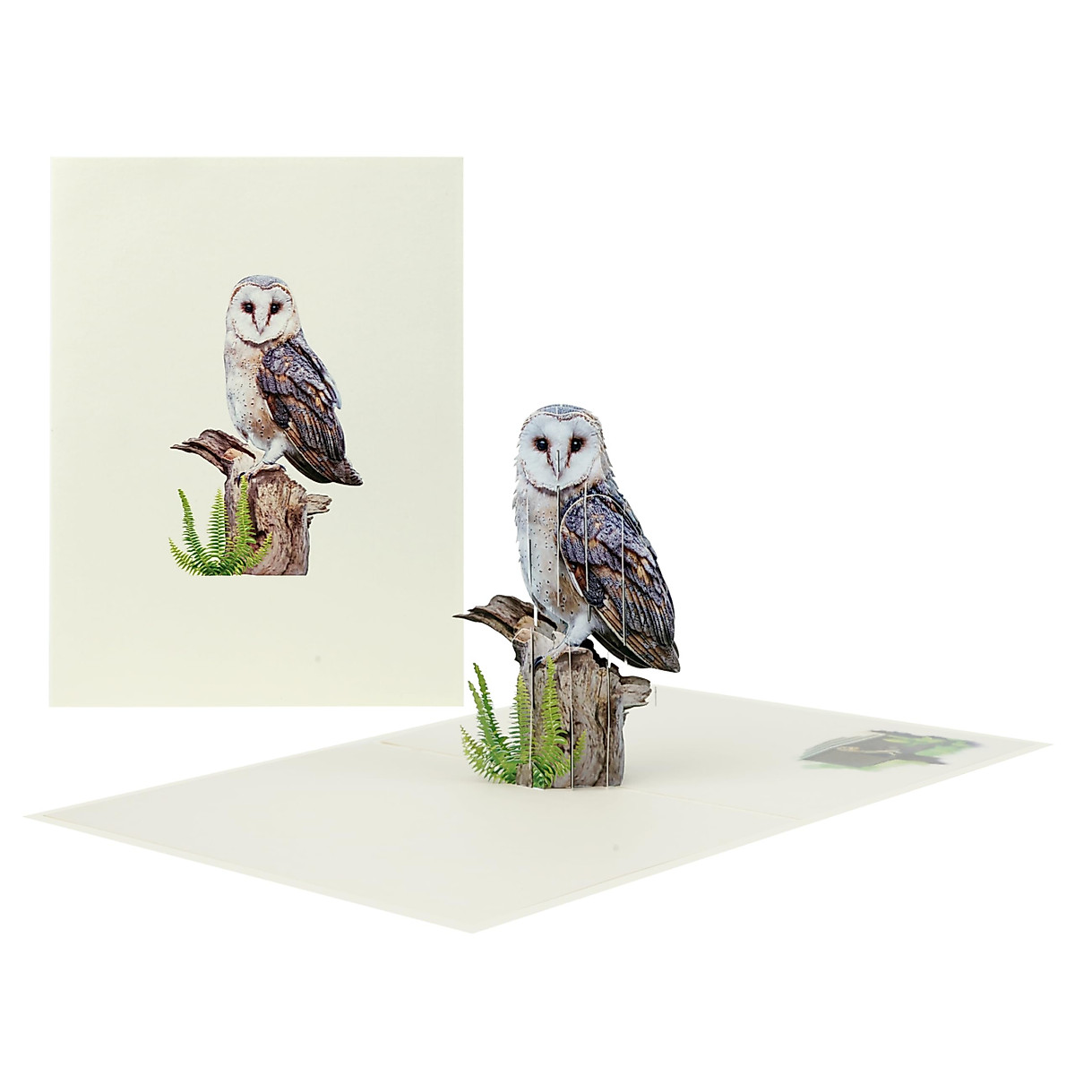 iGifts And Cards Majestic Owl 3D Pop-Up Greeting Card - 6"x8" Enchanting Forest Whispers Gift, Fun Present for Animal and Nature Lovers, Unique Ideas for Birthday, Graduation, Housewarming
