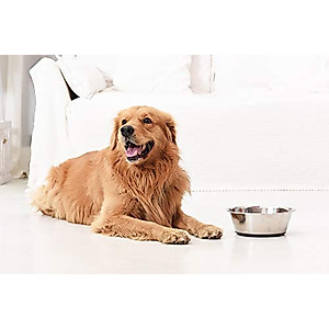 PEGGY11 Deep Stainless Steel Anti-Slip Dog Bowls, Set of 2, Each Holds Up to 3 Cups