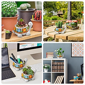 LESES Succulent Plant Pots, Turtle Planter Flower Pots with Drainage Hole, Cute Planting Pots for Cactus, Succulent Planters for Indoor Plants Home Office Garden Flower Pot Gifts for Plants Lover