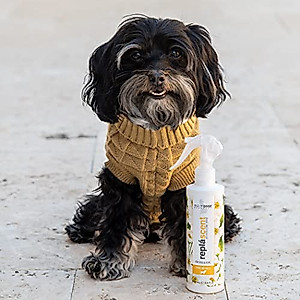 Isle of Dogs Replascents Odor Neutralizing Spray, Jasmine & Vanilla, 8 Ounce (733-8)