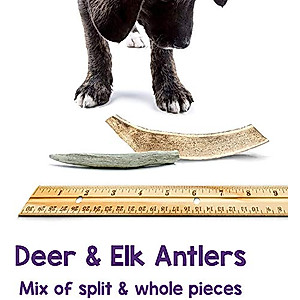 Nature Gnaws Antlers for Dogs - Premium Natural Deer and Elk Antler Chews - Long Lasting Dog Chews for Aggressive Chewers - Mix of Split and Whole