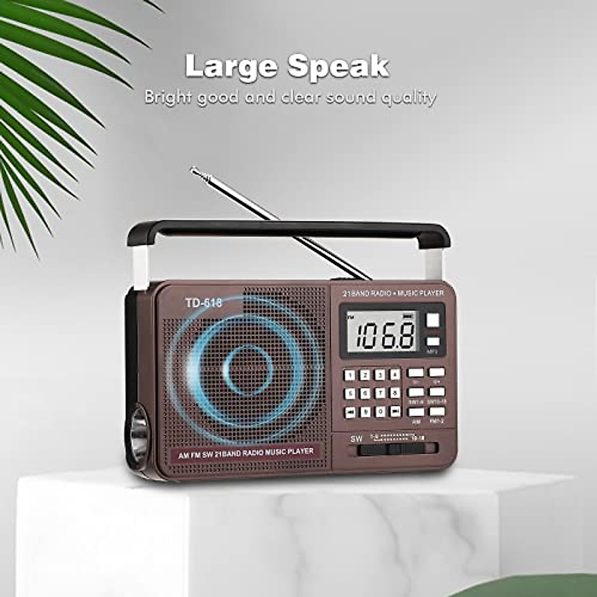 Portable AM FM SW Radio with Best Reception, LCD Display, Support USB Flash Drive and TF Card, AC Charge and Rechargeable Battery Power Transistor Shortwave Radio with Big Speaker and Earphone Jack