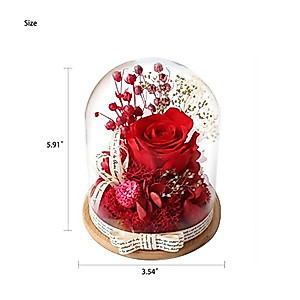 HENJADE Artificial Flower Rose Gift Decorations Beauty Rose Flowers, Rose Glass Dome, Red Forever Rose, Flower in Glass Dome, for Her Unique Gifts for Mom Valentine Christmas(Red)