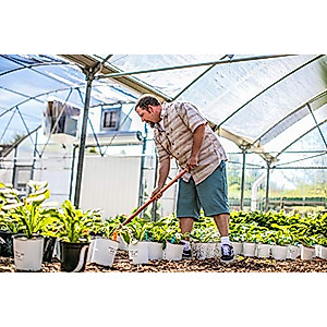 Dickies Men's Multi-Pack Dri-Tech 2.0 Moisture Control Heel-Lock Crew Socks, Black, Shoe Size: 6-12