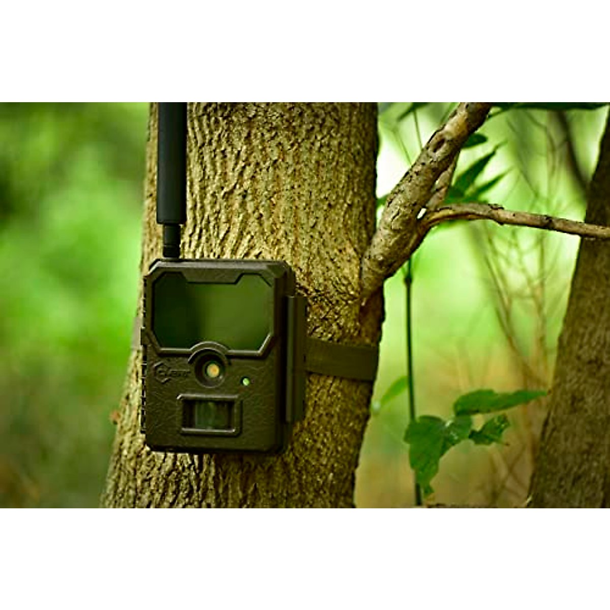 Covert Scouting Cameras WC20-V (Verizon Wireless) 4G LTE Cellular Game & Trail Camera for Hunting Deer and Wildlife – 20mp High-Res Images & 1080p Videos Transmitted to Mobile App, CC0012