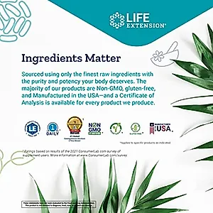 Life Extension Lightly Caffeinated Mega Green Tea Extract - 98% EGCG Polyphenols Supplement for Heart and Brain Health Support for Men and Women - Gluten Free, Non-GMO, Vegetarian - 100 Count