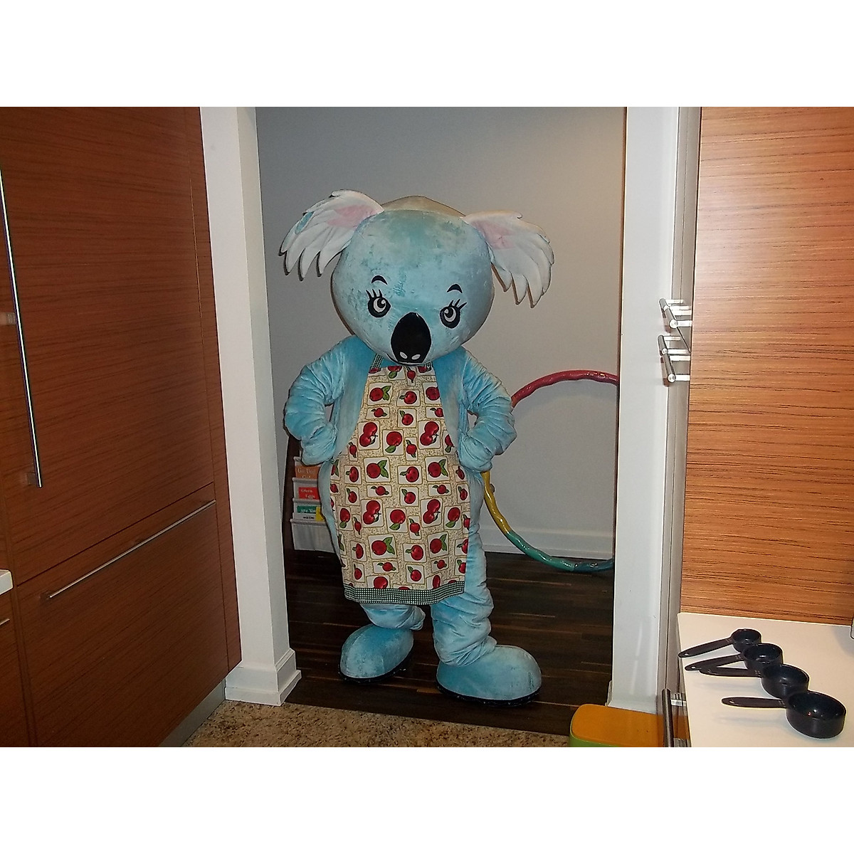 Big Koala Dream Room Party