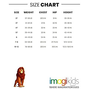 Disney Lion King Simba Toddler Boys Graphic T-Shirt French Terry Shorts Set Green/White 5T