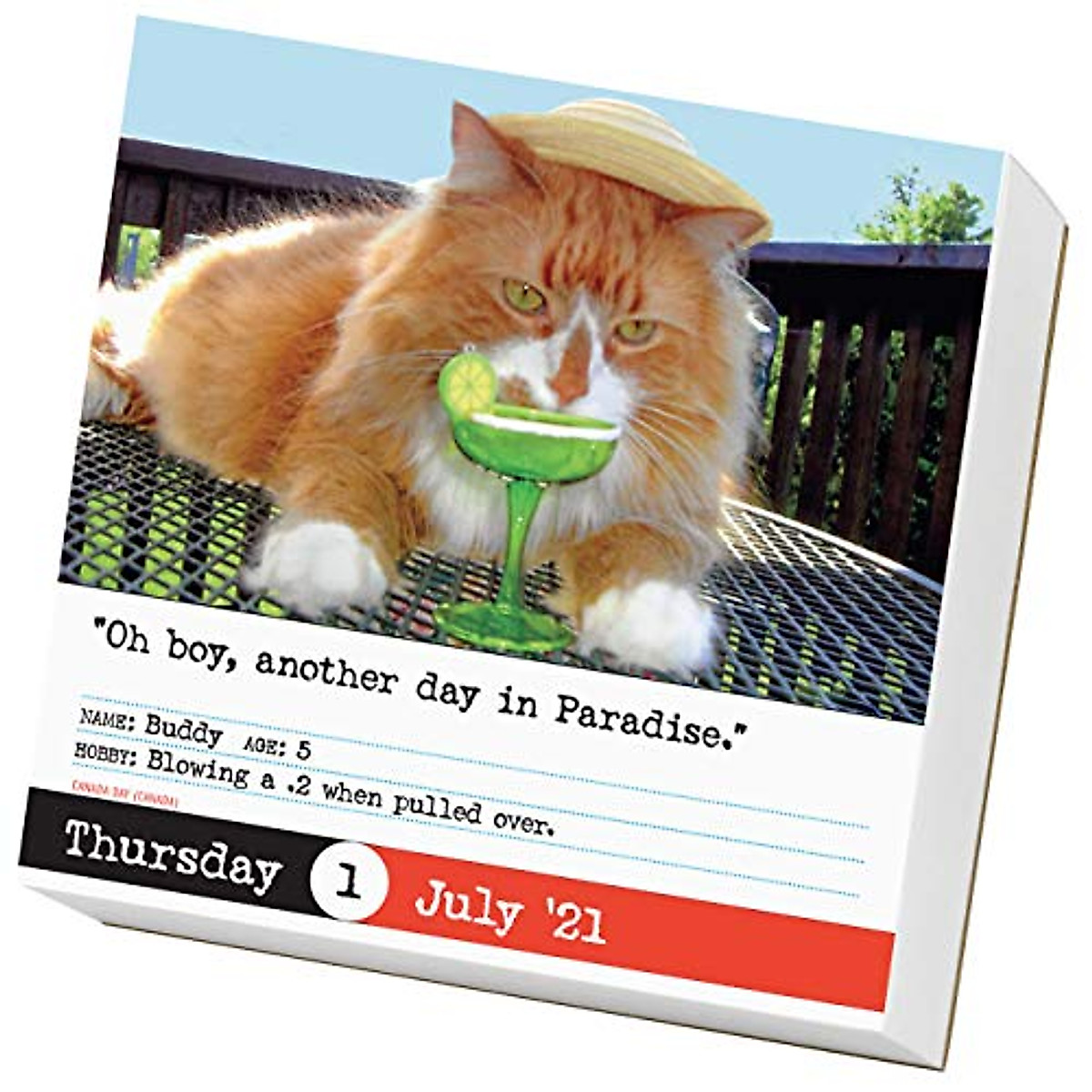 Bad Cat Page-A-Day Calendar 2021