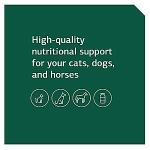 Standard Process Equine Immune Support - Whole Food Horse Supplies for Immune Support with Whey Protein, Magnesium Citrate, Kale, Sunflower Lecithin, L-Glutamine, Turmeric Root - 30 Ounce