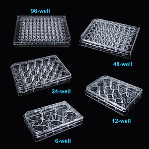 LVDALAB 12 Well Bacterial Culture Dishes Tissue Culture Dish Polystyrene Petri Dish with Lids Educational Petri Plates for Lab Science Experiment, Pack of 10,Sterile
