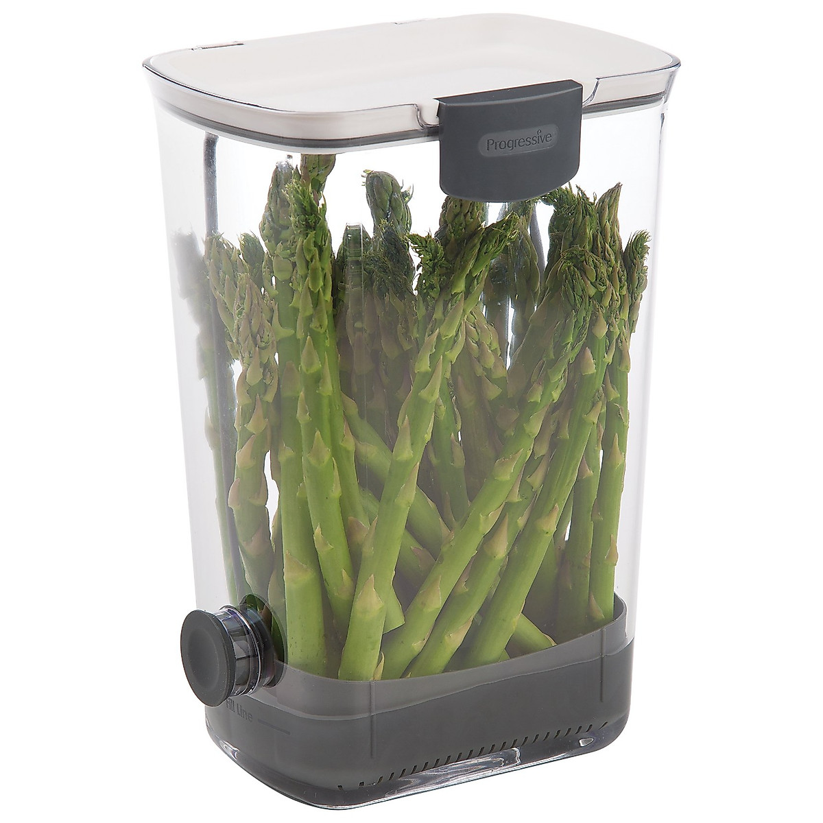 Progressive International PKS-930 BPA-Free Plastic ProKeeper Herb Keeper with Removable Silicone Drain Plug, 1 Piece, White