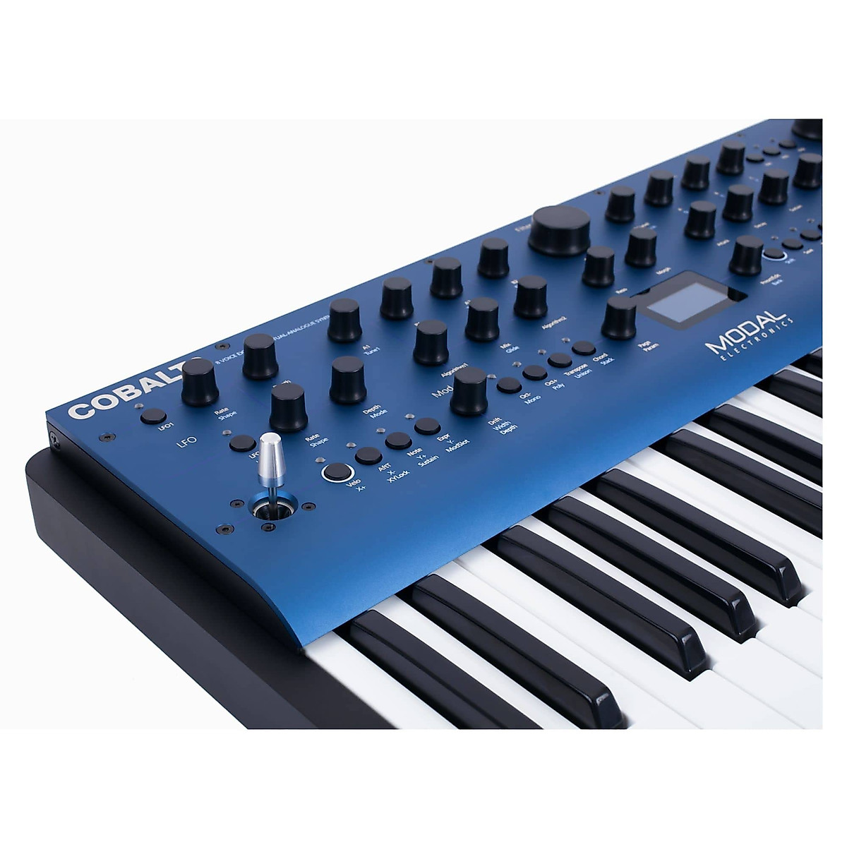 Modal Electronics COBALT8 37-Key 8 Voice Polyphonic Extended Virtual Analog Synthesizer