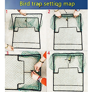 DSQSTMR Pigeon Bird Trap 2 Pack Trapping Hunting Quail Cage Sparrow Spring Starling Catching Net Traps for Trapping