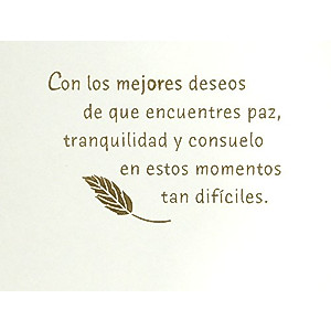 Hallmark Vida Spanish Sympathy Card (Foil Flowers) 0349RZM7021